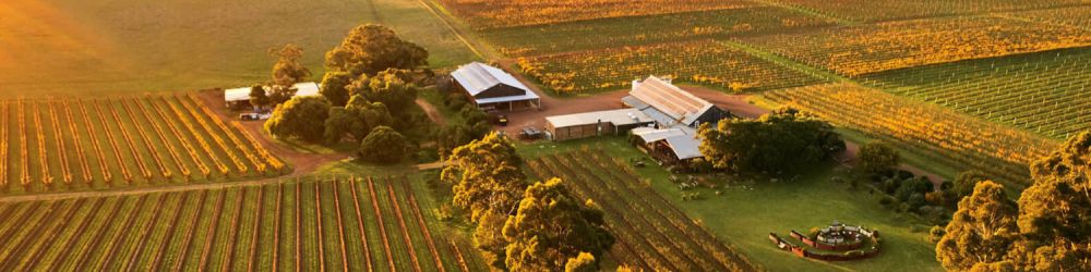 Buy Cullen Amber Wilyabrup 2023 - VINVM