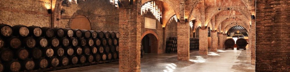 Buy Codorníu Wine - VINVM