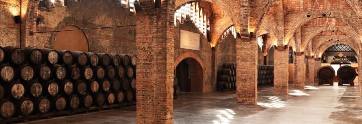 Buy Codorníu Wine - VINVM