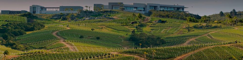 Buy Bodega Garzón Wine - VINVM