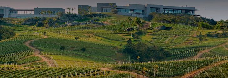 Buy Bodega Garzón Wine - VINVM