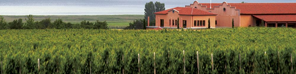 Buy Alpha Estate Wine - VINVM