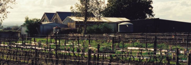 Buy Bass Phillip Wine - VINVM