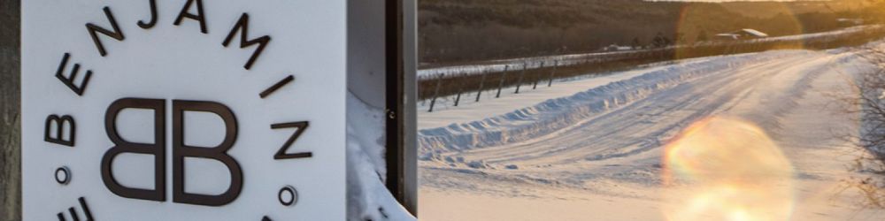 Buy Benjamin Bridge Brut NV - VINVM