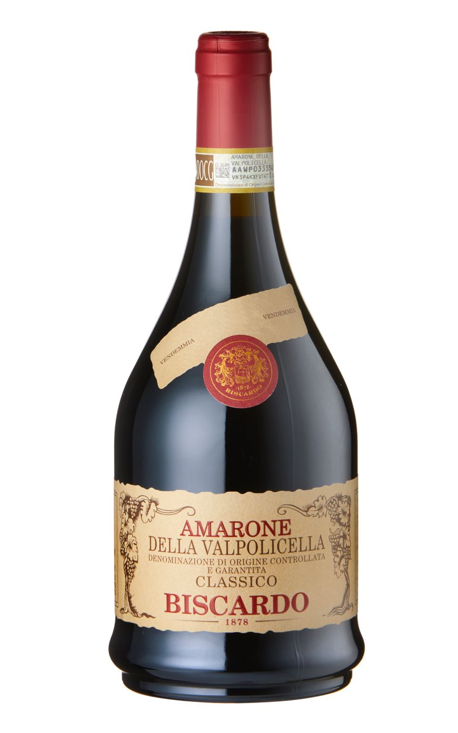 Buy Biscardo Amarone della Valpolicella Classico DOCG 2019 - VINVM