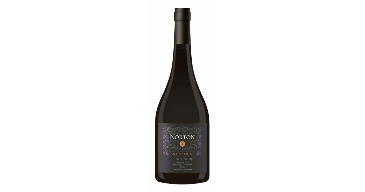 Buy Bodega Norton Altura Pinot Noir 2023 - VINVM