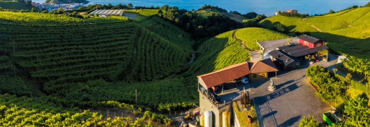 Buy Bodegas Ameztoi Wine - VINVM
