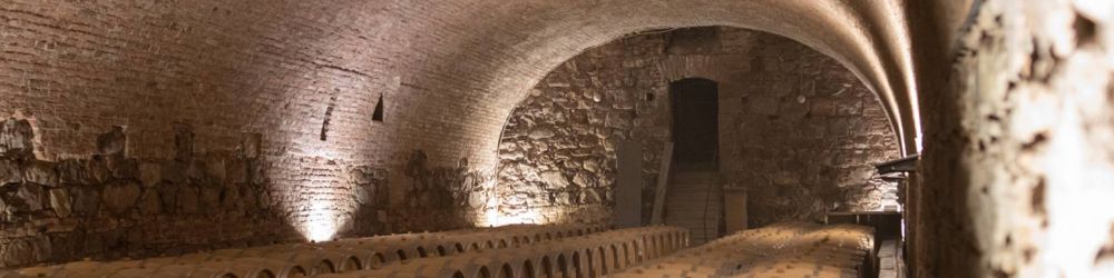 Buy Barons de Rothschild Lafite/Catena- Bodegas CARO Caro 2021 - VINVM