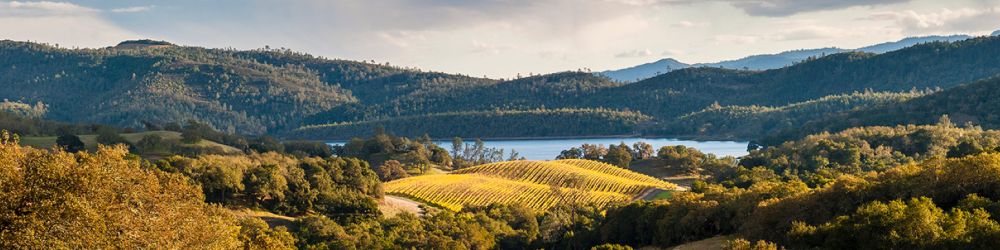 Buy Buehler Vineyards Wine - VINVM