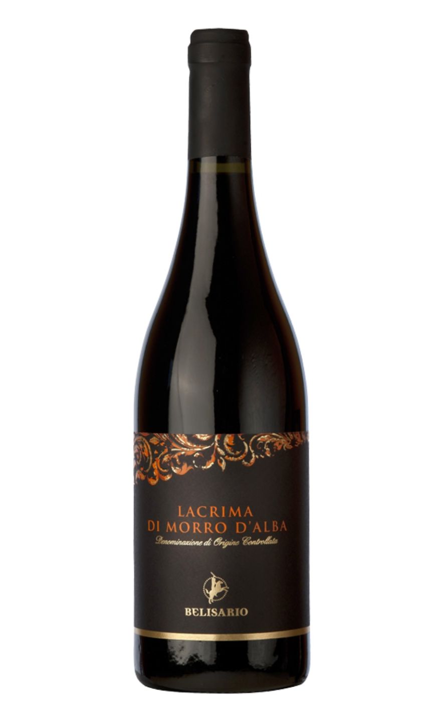 Buy Cantine Belisario Lacrima di Morro d'Alba 2023 - VINVM