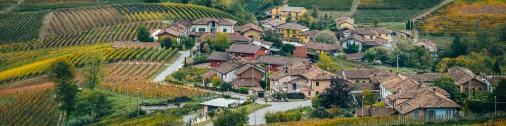 Buy Elio Altare La Villa Langhe 2018 - VINVM