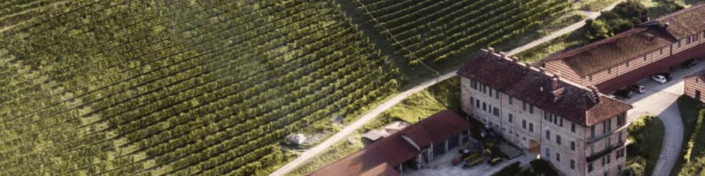 Buy Fontanafredda Pradalupo Roero Arneis 2024 - VINVM