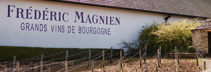 Buy Domaine Frédéric Magnien Wine - VINVM