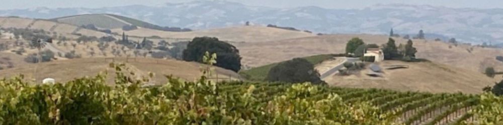 Buy Free Run Juice Wine - VINVM