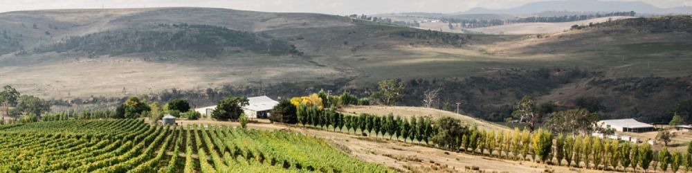 Buy Glaetzer Wine - VINVM