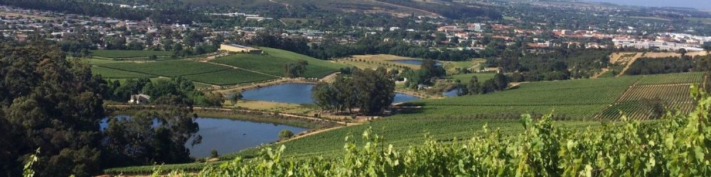 Buy Glenelly Glass Collection Cabernet Sauvignon 2021 - VINVM