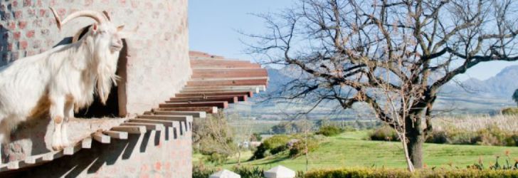 Buy Goats do Roam Wine - VINVM