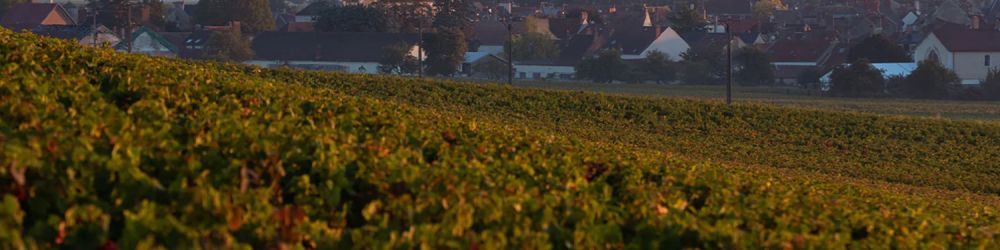 Buy Domaine Henri Gouges Wine - VINVM