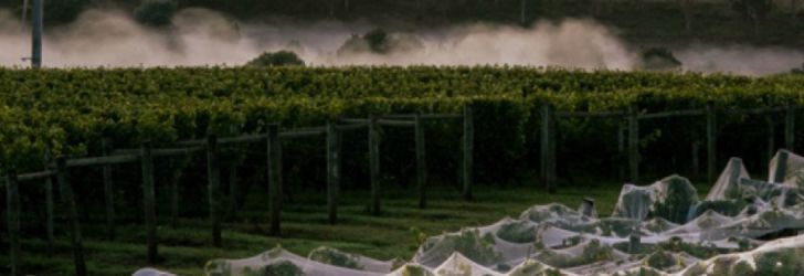 Buy House of Arras A by Arras Premium Cuvée NV - VINVM