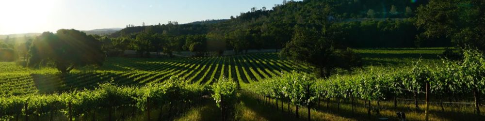 Buy Ironstone Merlot 2021 - VINVM