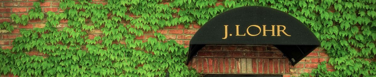 Buy J. Lohr Carol's Vineyard Cabernet Sauvignon 2021 - VINVM