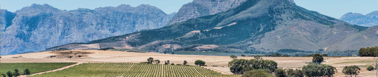 Buy MAN Family Wines Wine - VINVM