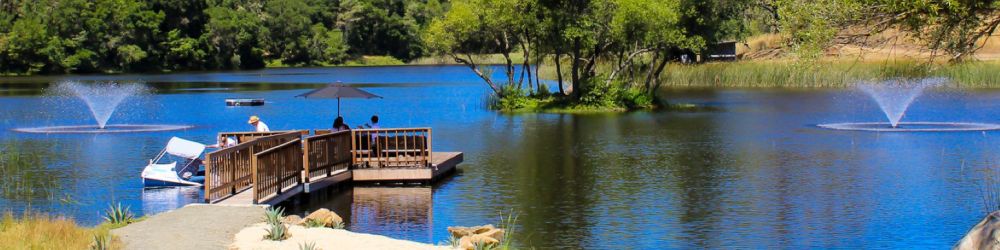 Buy Maxville Petite Sirah 2015 - VINVM