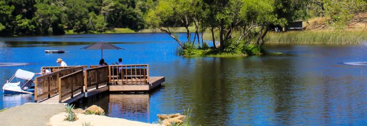 Buy Maxville Petite Sirah 2015 - VINVM