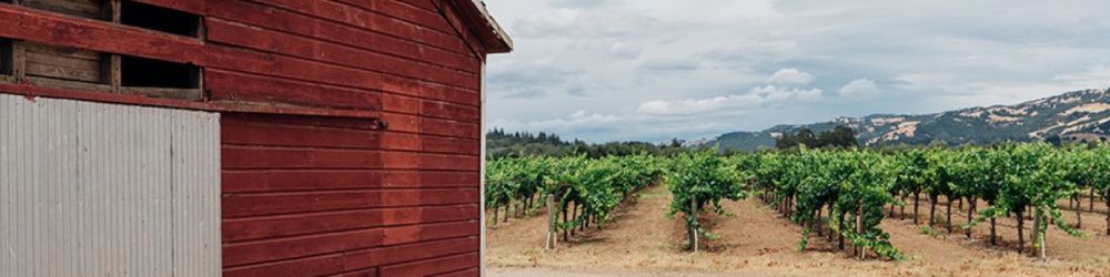 Buy Murphy-Goode California Red Blend MV - VINVM