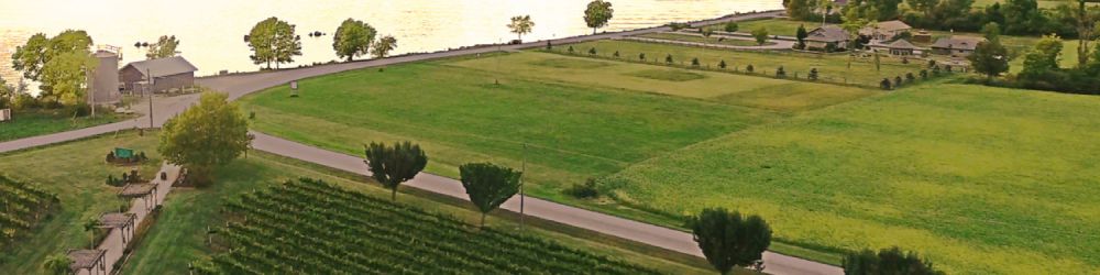 Buy Pelee Island Winery Wine - VINVM