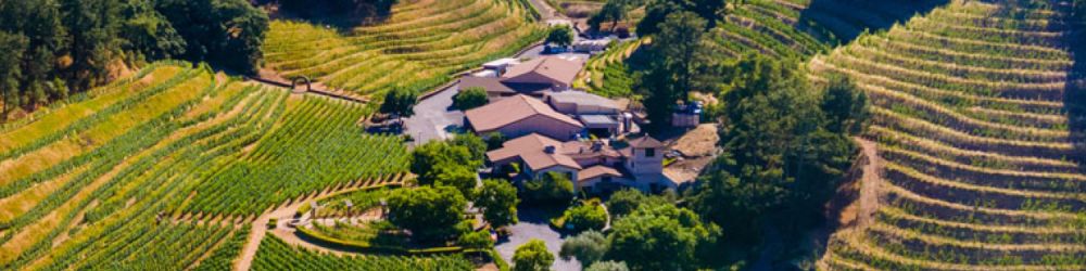 Buy Pine Ridge Vineyards Napa Valley Cabernet Sauvignon 2021 - VINVM