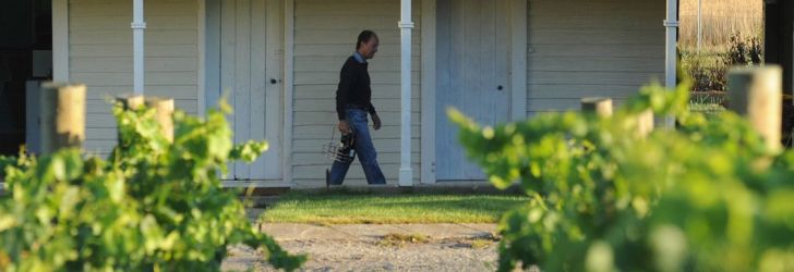 Buy Pirie Wine - VINVM