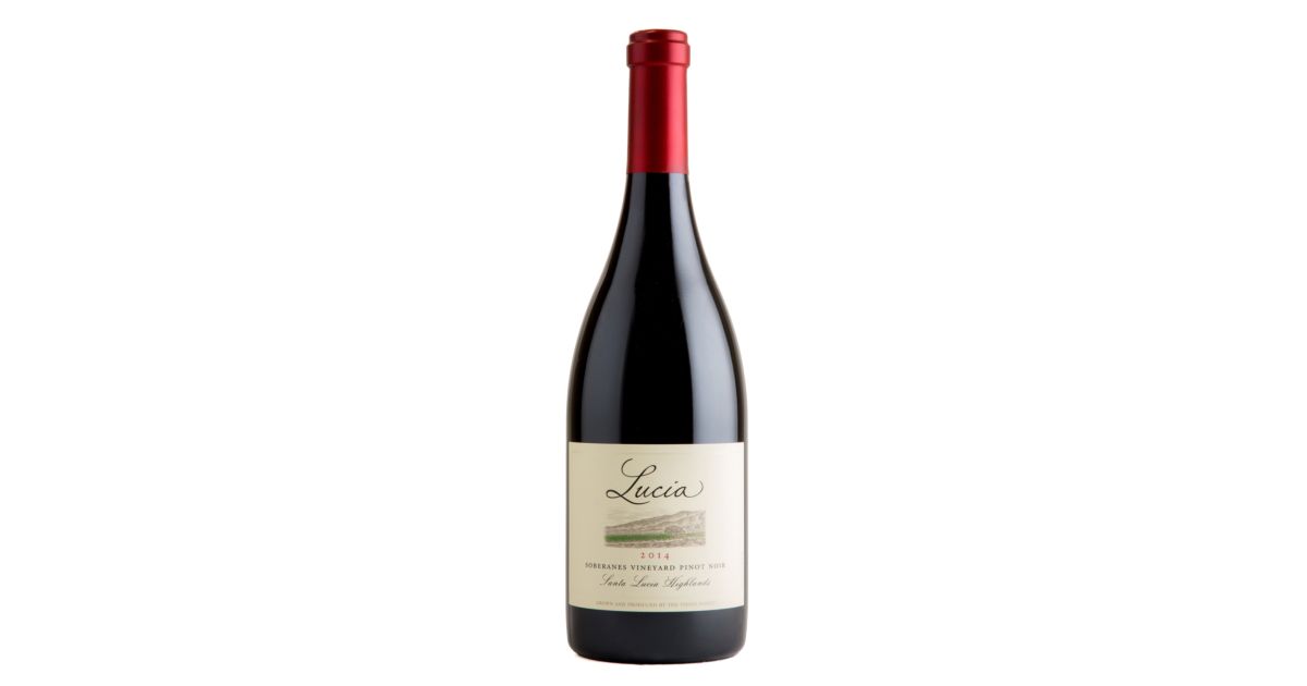 Buy Pisoni Lucia Soberanes Vineyard Pinot Noir 2021 - VINVM