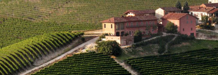 Buy Antinori Prunotto Wine - VINVM