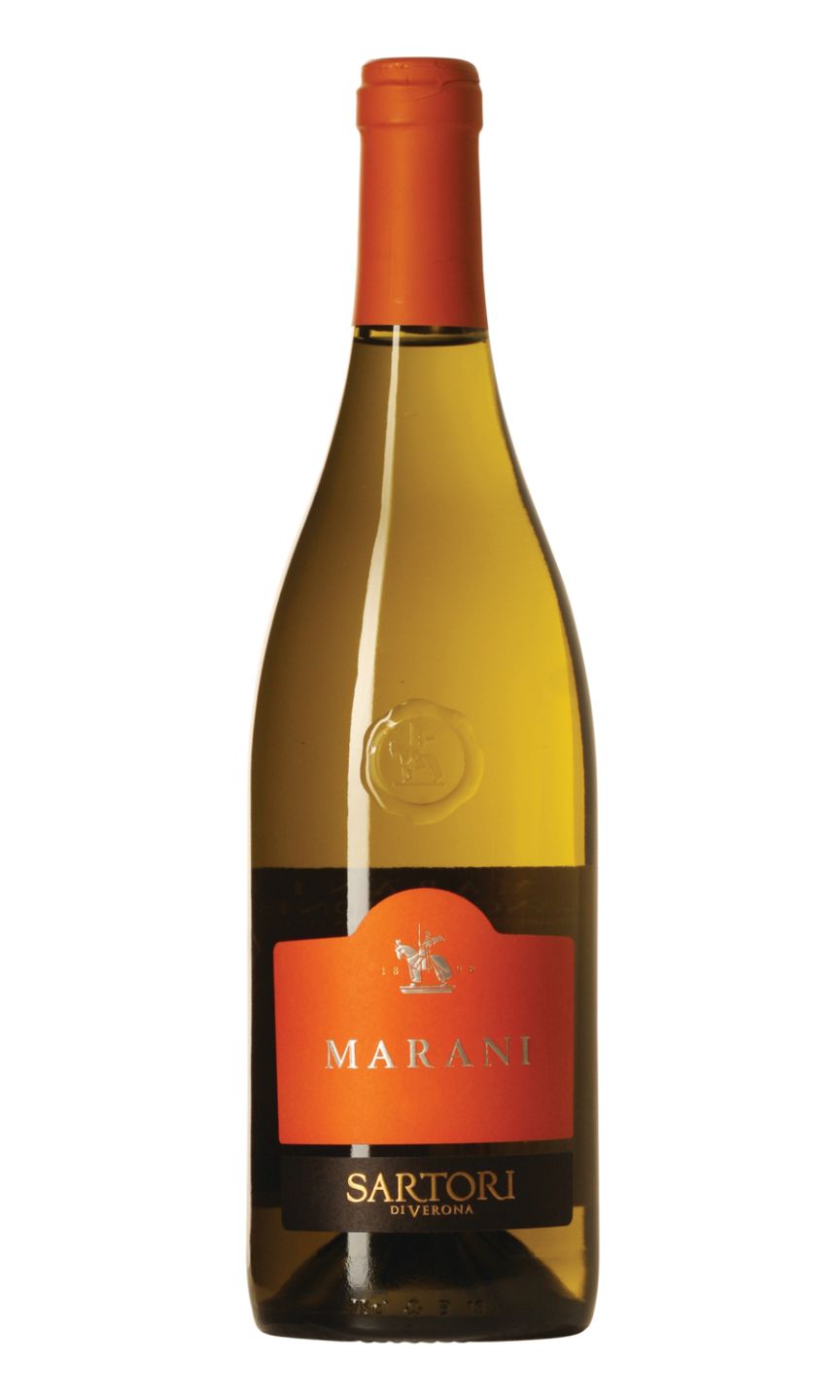 Buy Sartori Marani Bianco Veronese IGT 2023 - VINVM
