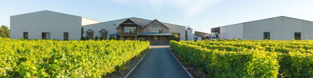 Buy Seifried Estate Aotea Nelson Chardonnay 2022 - VINVM