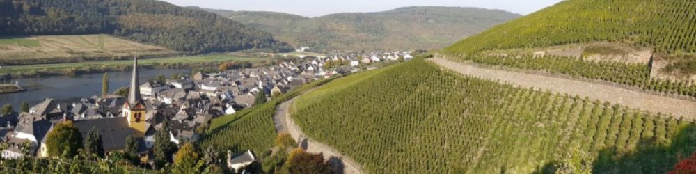 Buy Weingut Selbach-Oster Wine - VINVM