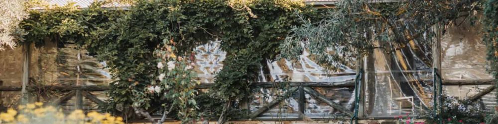 Buy Skillogalee Riesling 2021 - VINVM