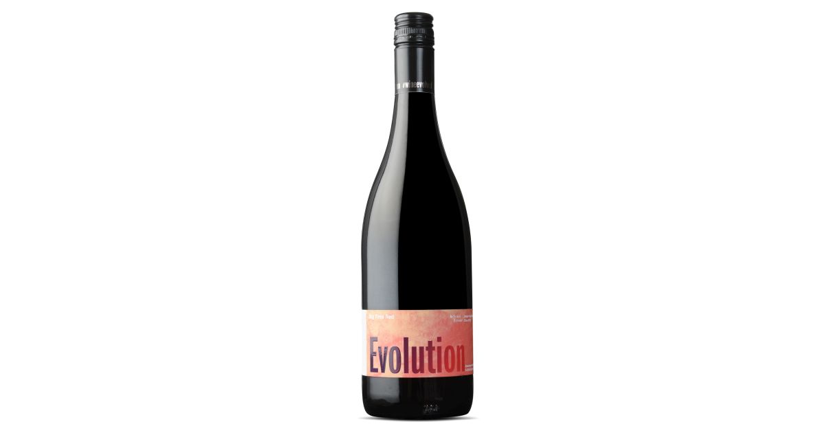 Buy Sokol Blosser Evolution Big Time Red 2020 - VINVM