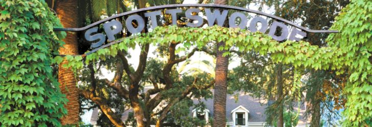 Buy Spottswoode Estate Wine - VINVM