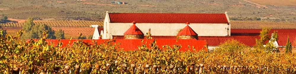 Buy Springfield Estate Wine - VINVM