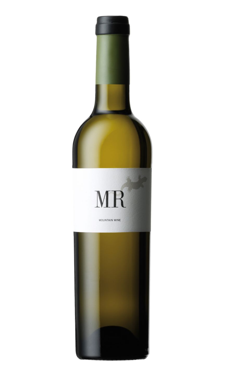 Buy Telmo Rodriguez MR Mountain Wine 2022 (Half Bottle) - VINVM
