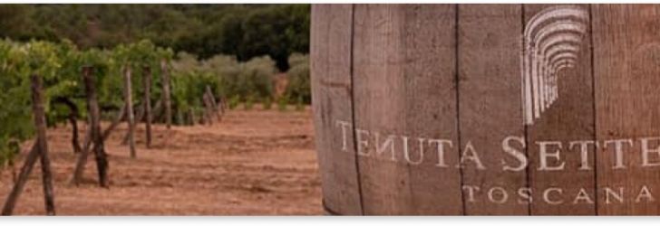 Buy Tenuta Sette Ponti Wine - VINVM