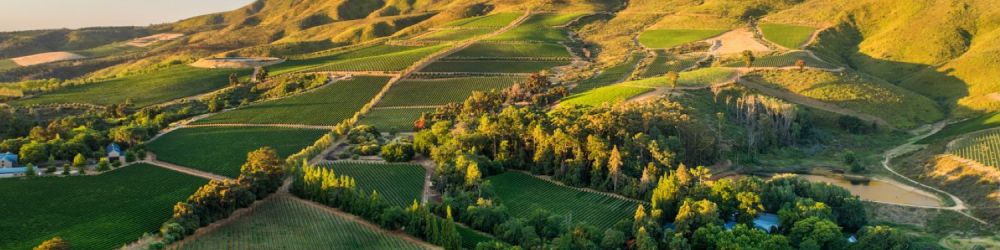 Buy Thelema Mountain Red 2022 - VINVM