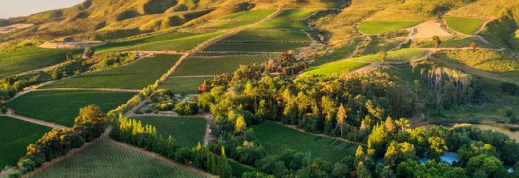 Buy Thelema Mountain Red 2022 - VINVM