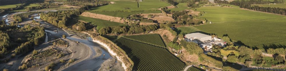 Buy Vavasour Sauvignon Blanc 2024 - VINVM