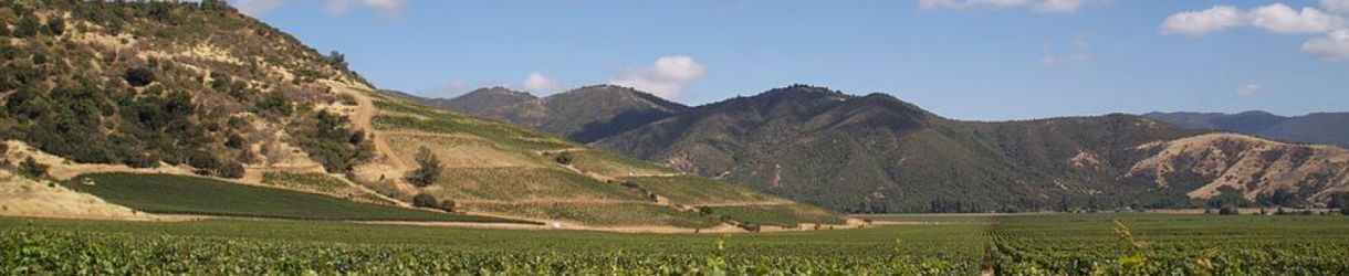 Buy Viña VIK Omega Cabernet Sauvignon 2022 - VINVM