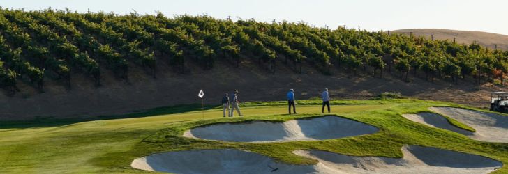 Buy Wente Vineyards Estate Grown Sandstone Merlot 2021 - VINVM